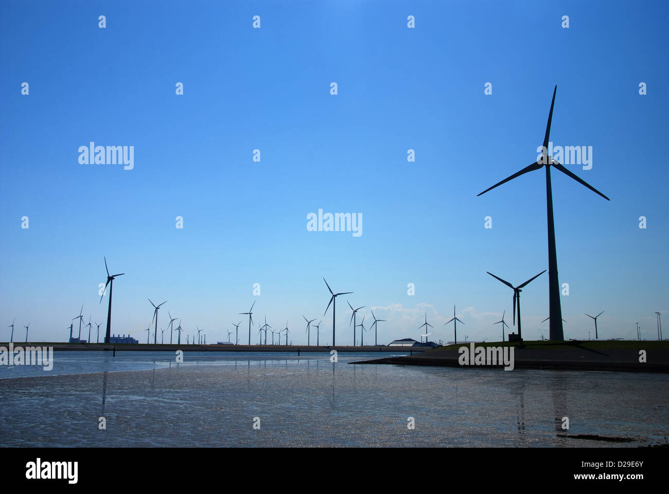 Wind farm in the flatlands of northern Netherlands Stock Photo - Alamy