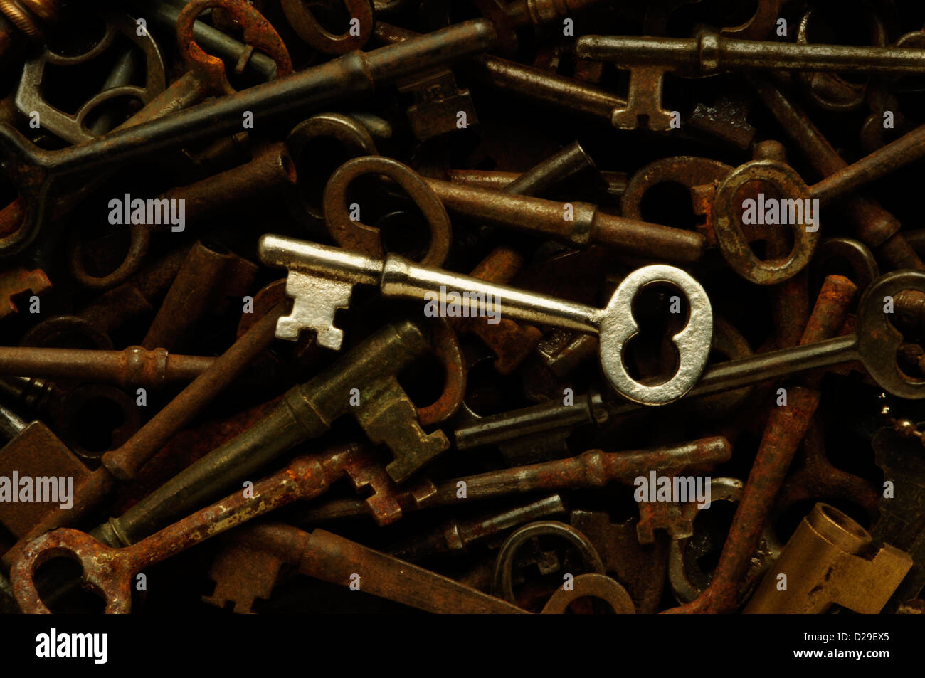 New old master hi-res stock photography and images - Alamy