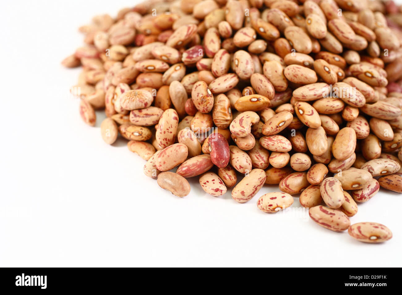 Studio stuff hi-res stock photography and images - Alamy