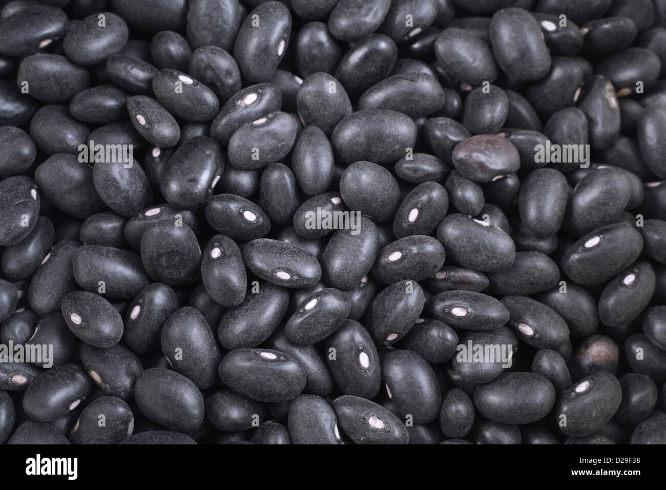Backgrounds and textures hi-res stock photography and images - Alamy