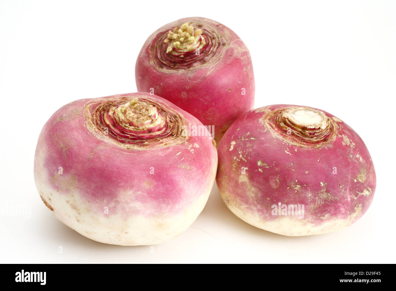 Growing vegies hi-res stock photography and images - Alamy