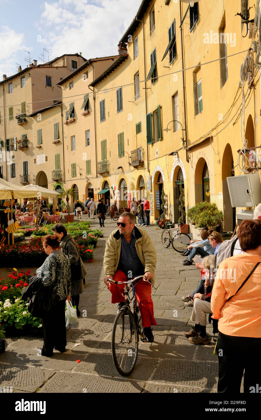 Cyclist In Anfiteatro (Piazza Built On Contours Of Roman Amphitheater ...