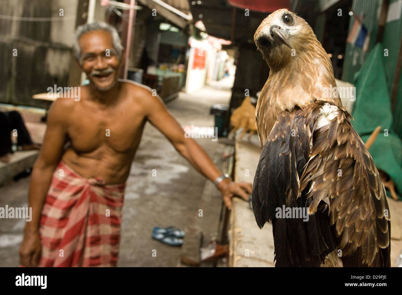 A Muslim man and his eagle in the village of Phang Nga Bay, Thailand ...