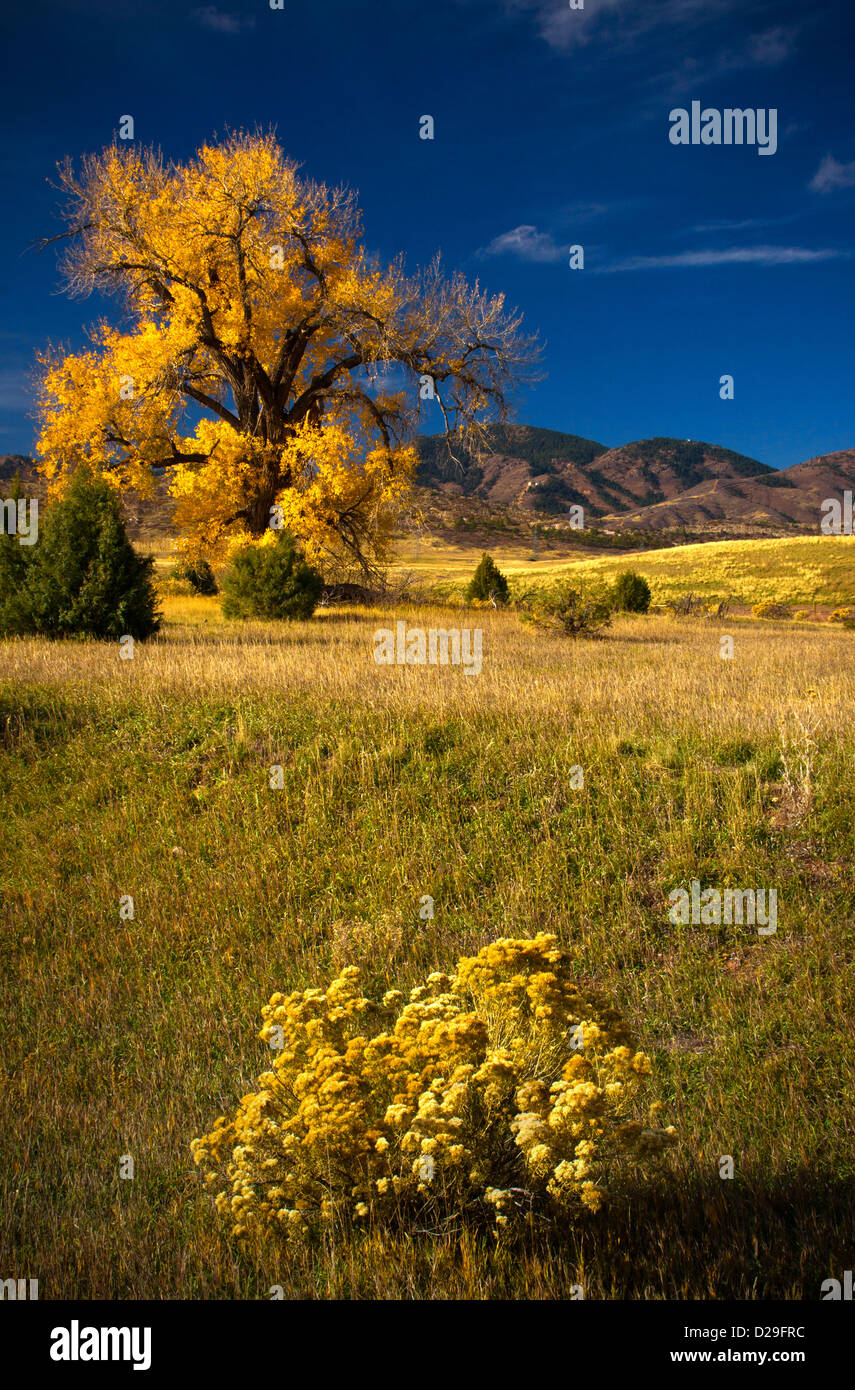 Foothills of colorado hi-res stock photography and images - Alamy