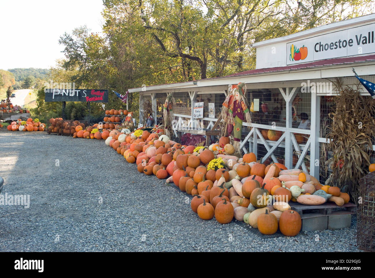 Pumpkins at roadside farmer market Stock Photo - Alamy