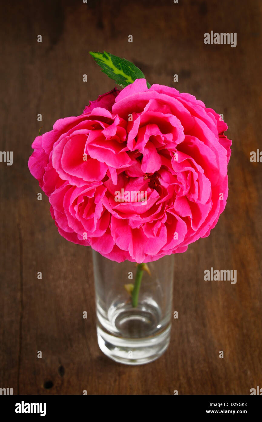 Pink roses in glass Stock Photo - Alamy