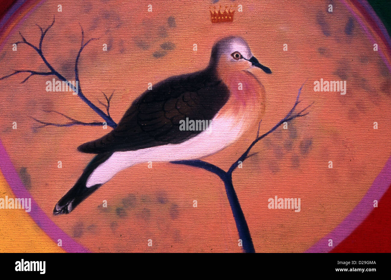 Grenada dove hi-res stock photography and images - Alamy