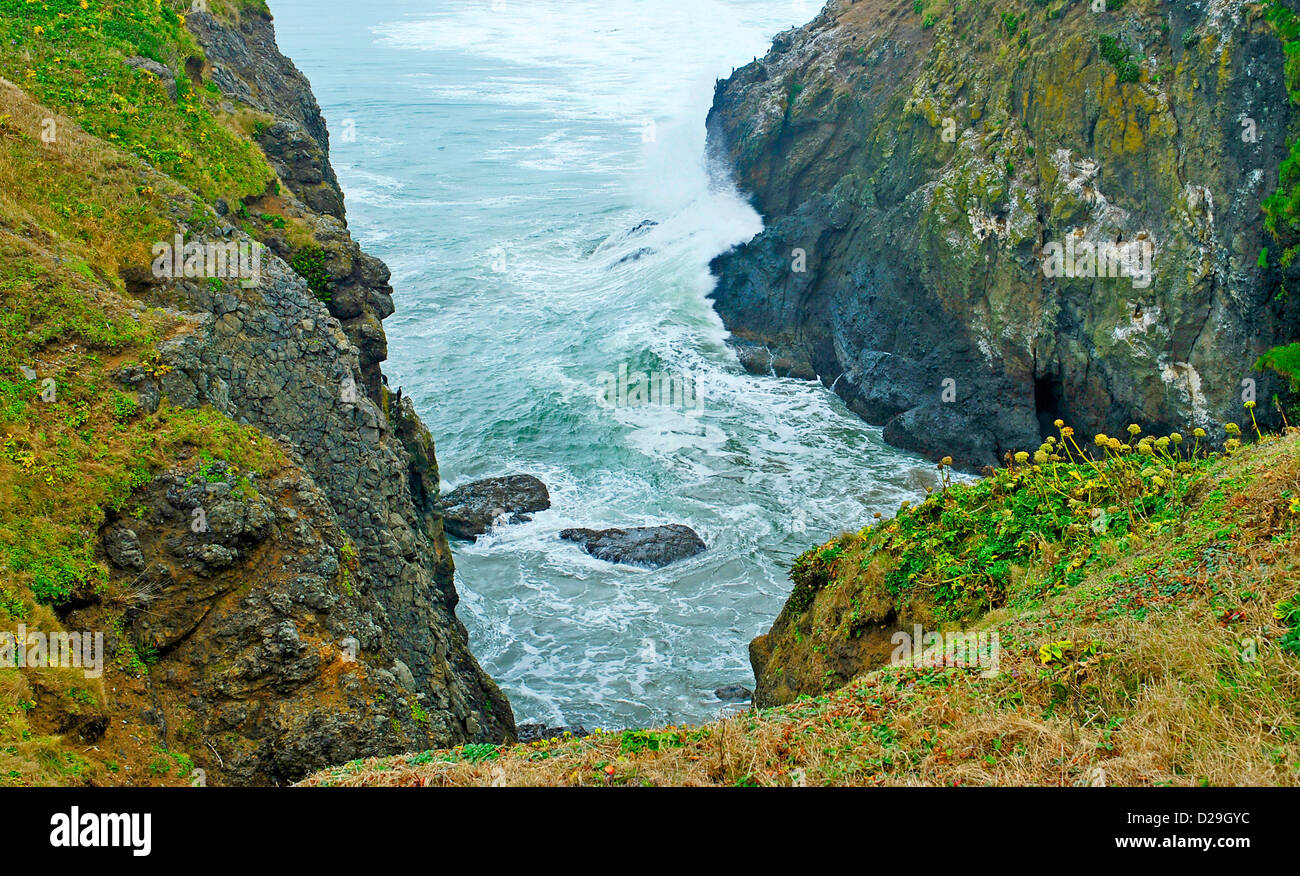 Lava Cliffs, Oregon Coast Stock Photo - Alamy