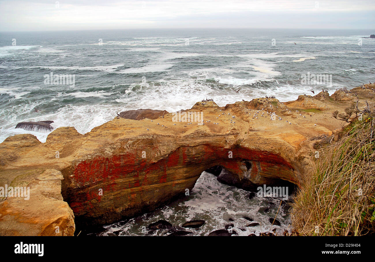 Eroded Sea Cliff Wall Stock Photo - Alamy