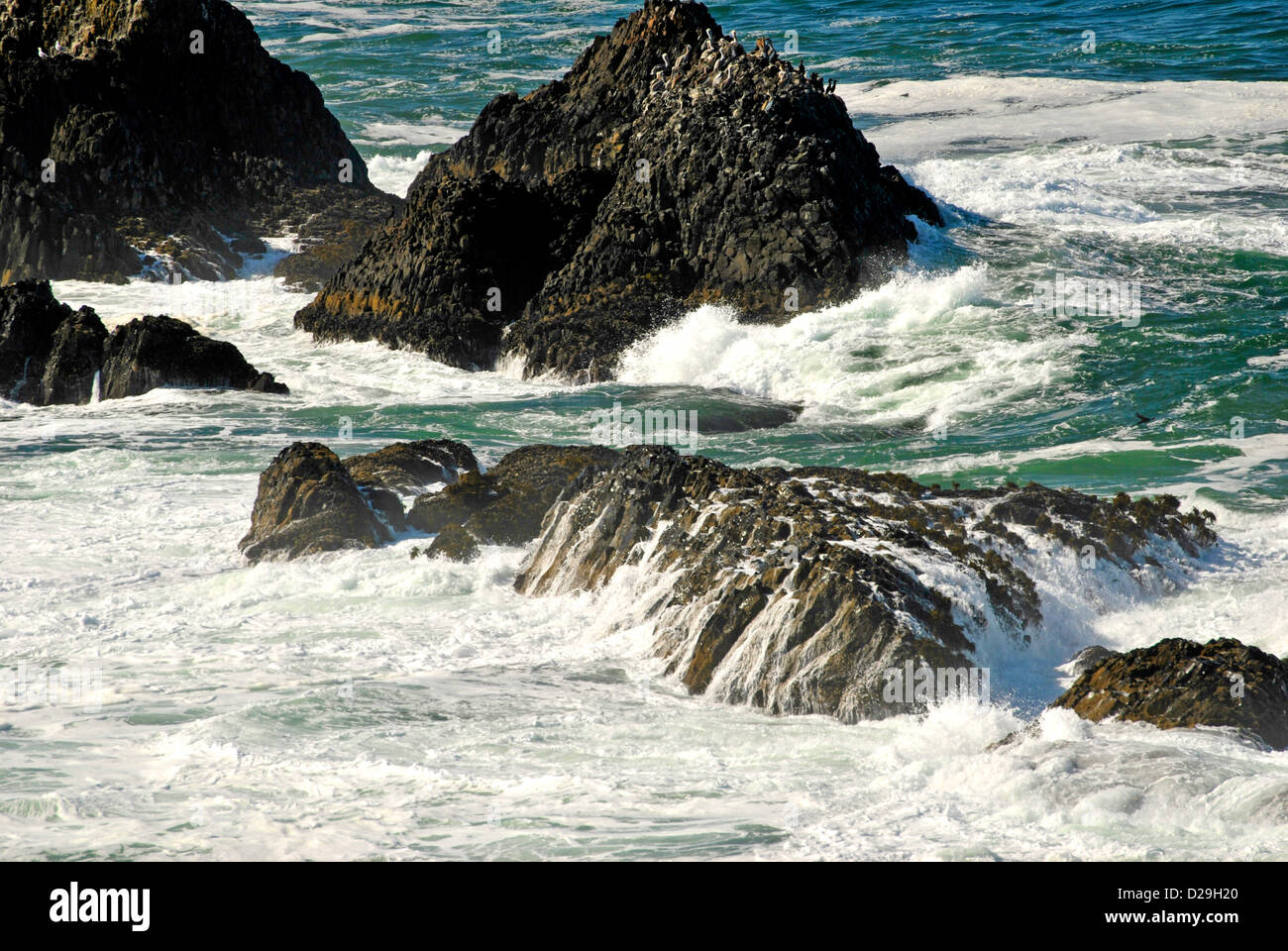 Seal Rocks, Oregon Coast Stock Photo - Alamy