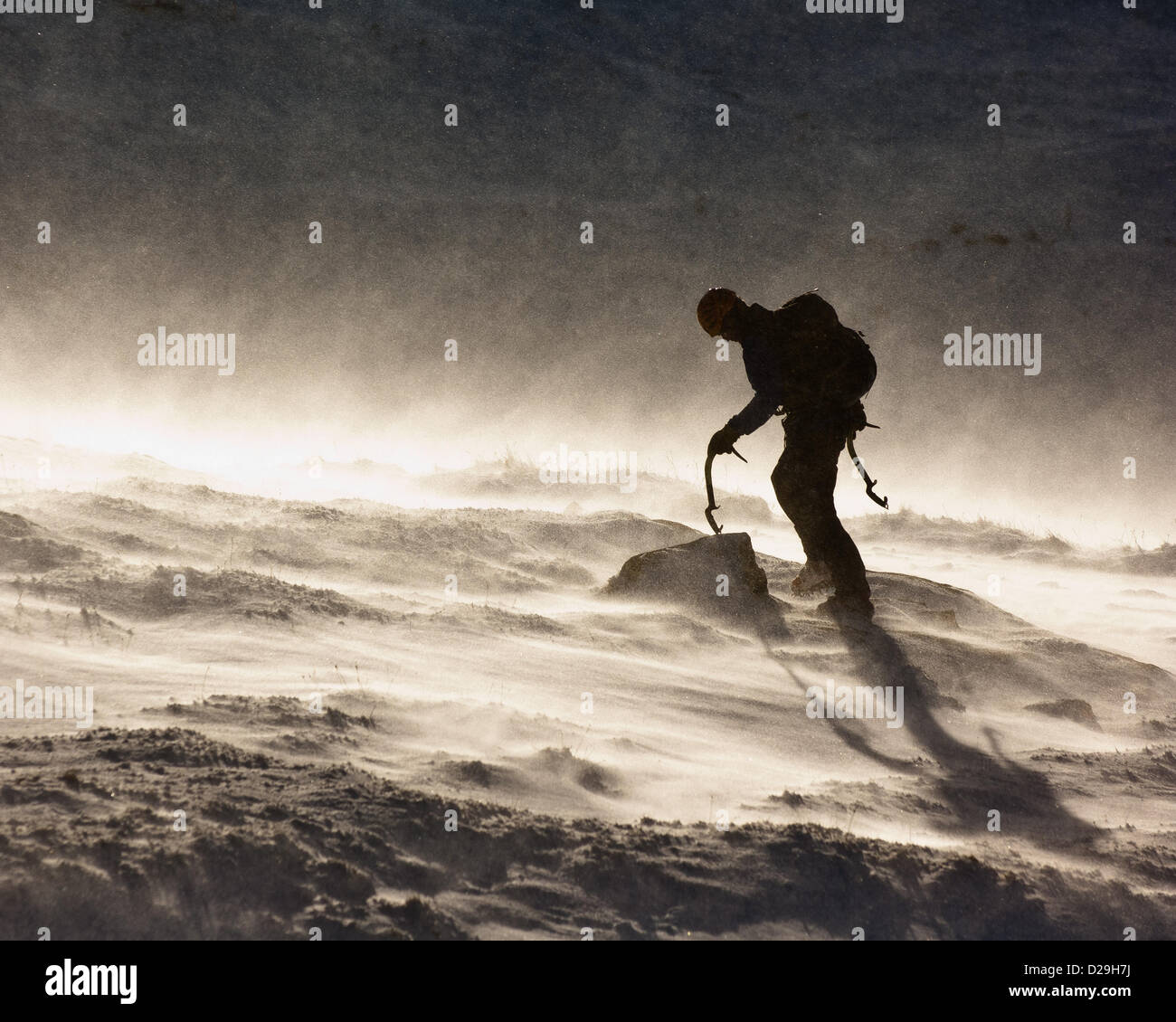 Mountain rescue member walks across hillside during harsh winter ...