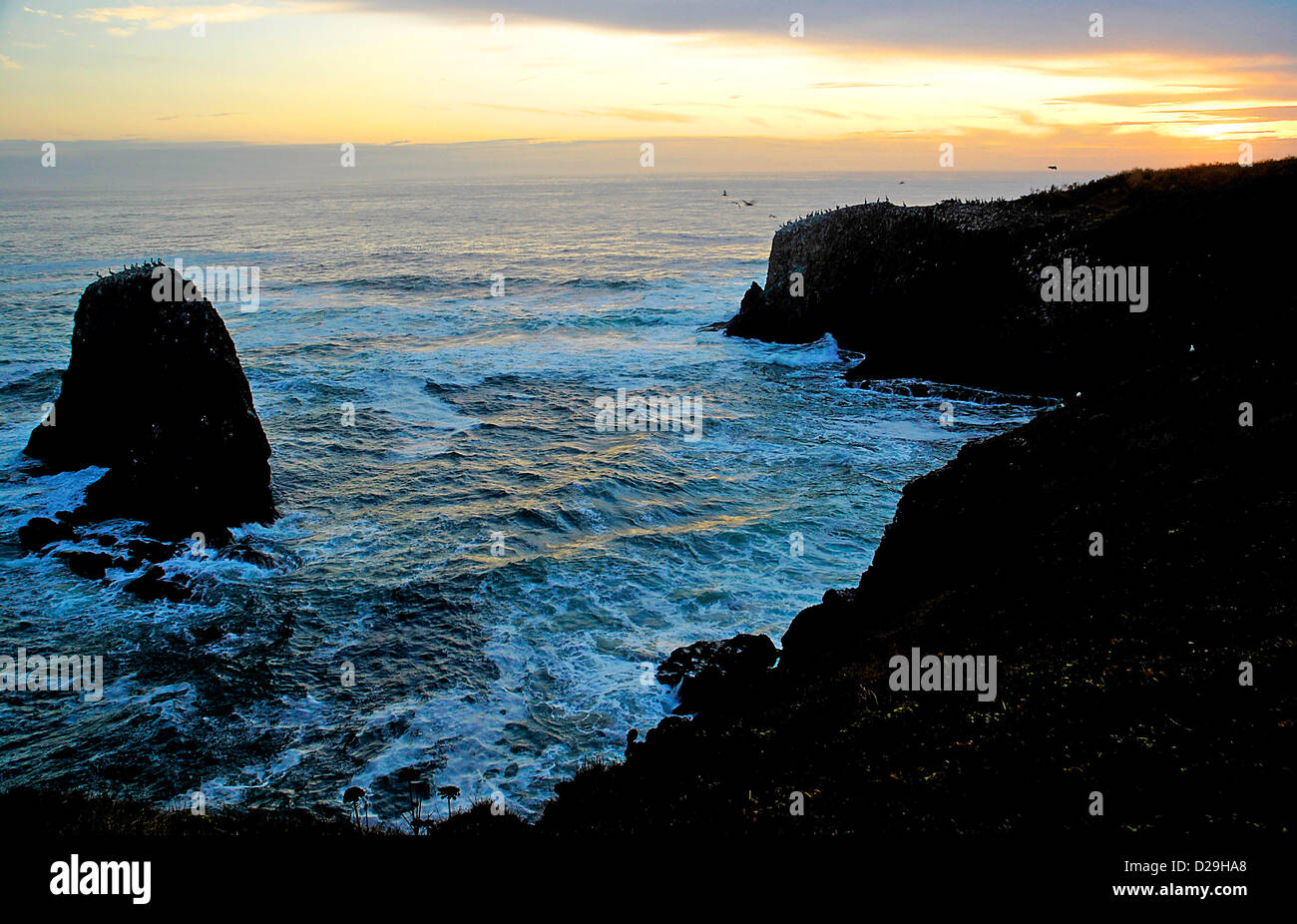Pacific Coast Sunset, Oregon Stock Photo - Alamy