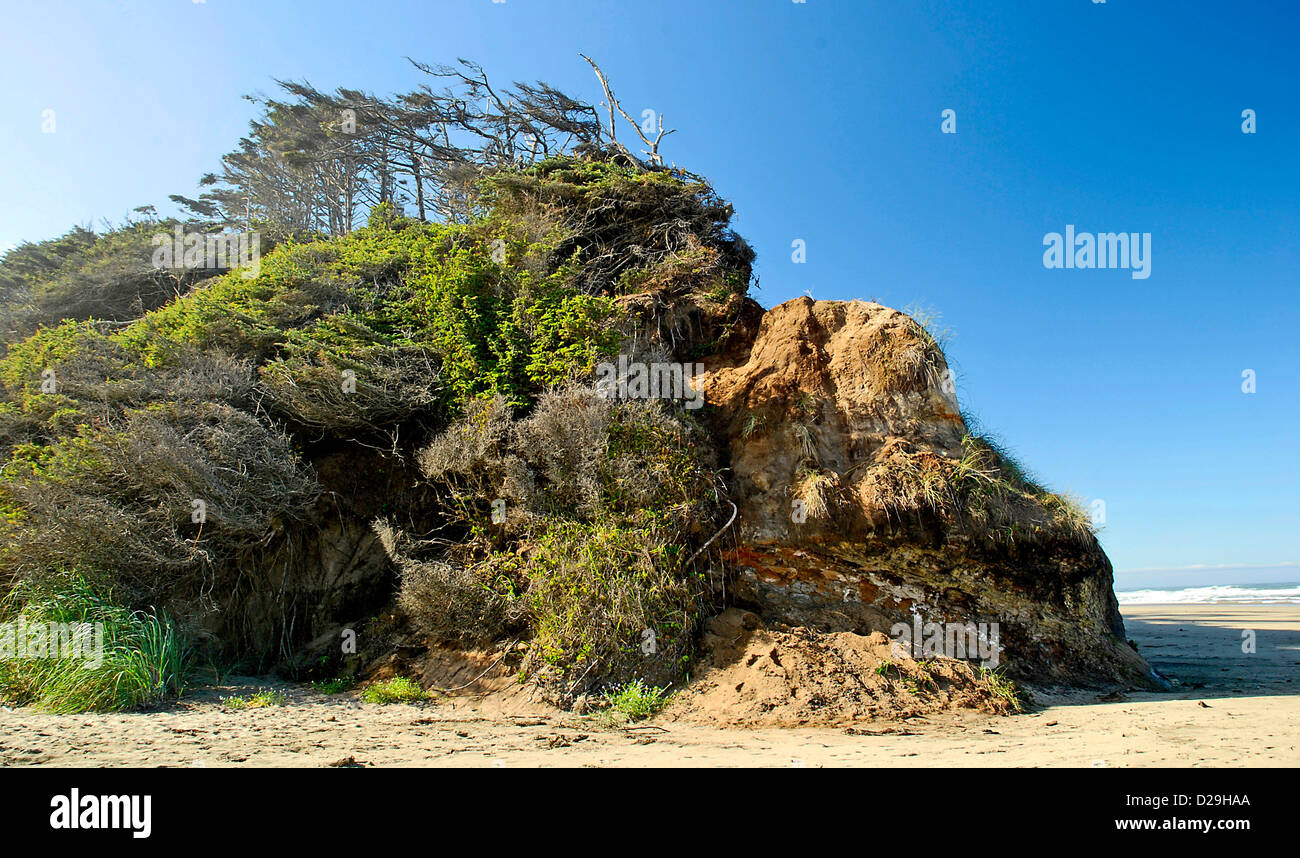 Oregon Coast Scene Stock Photo - Alamy
