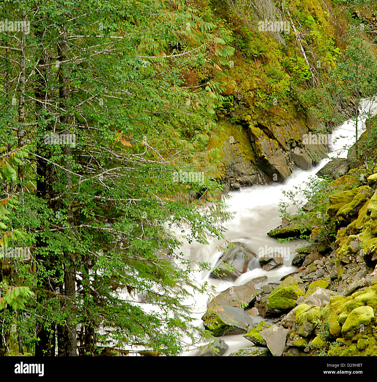 Waterfall, Nooksack River Stock Photo - Alamy