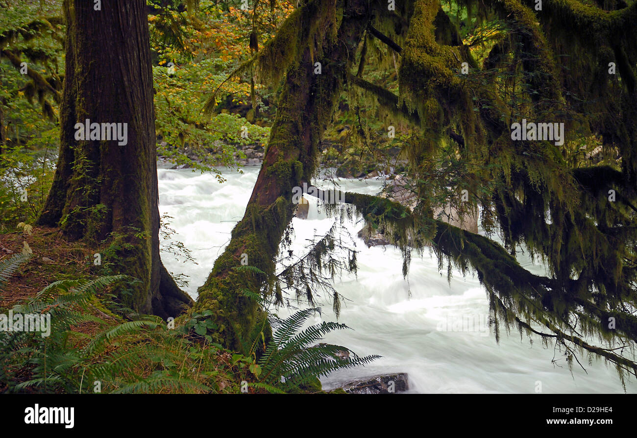 Nooksack river hi-res stock photography and images - Alamy