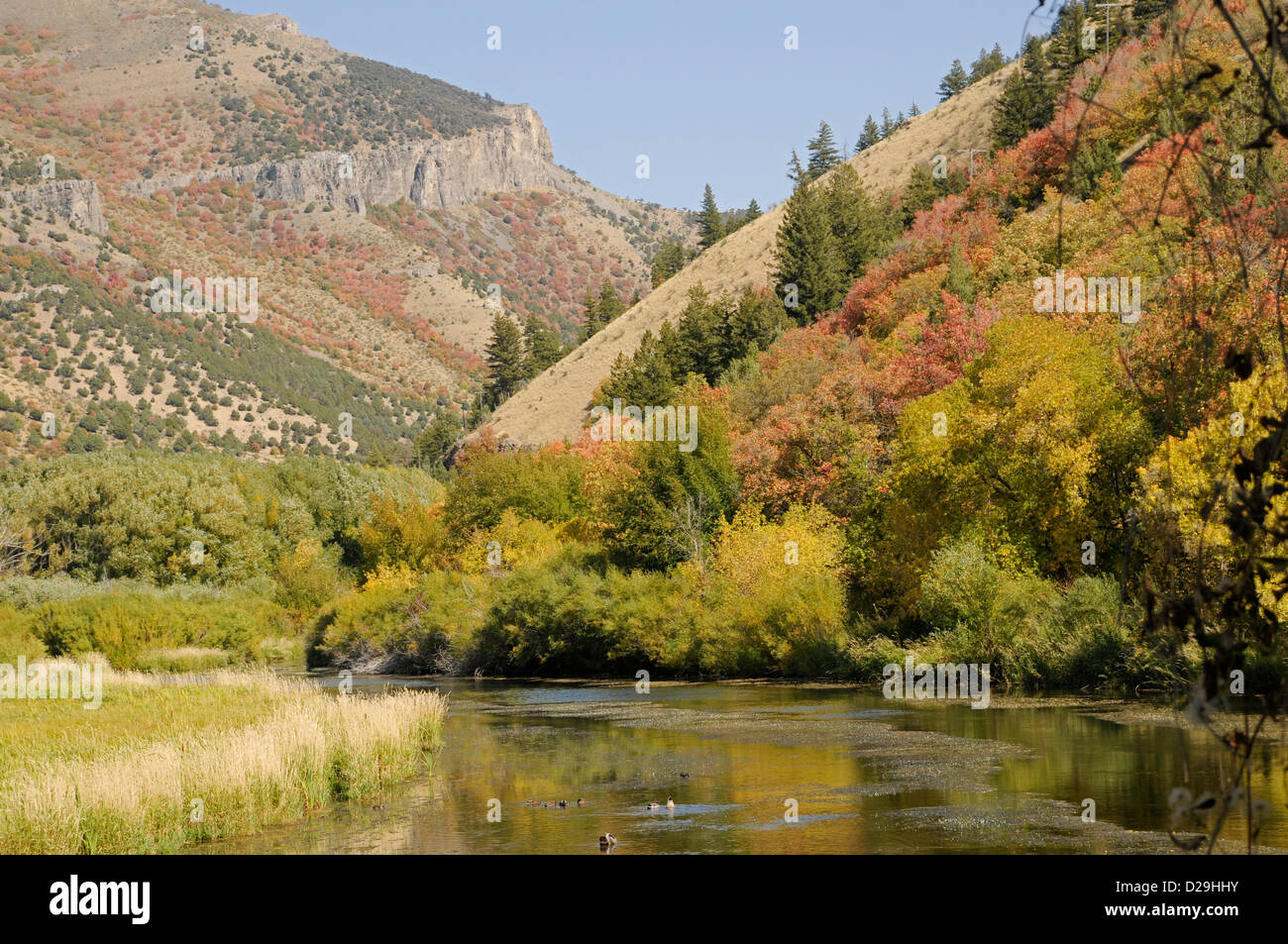 Logan valley hi-res stock photography and images - Alamy