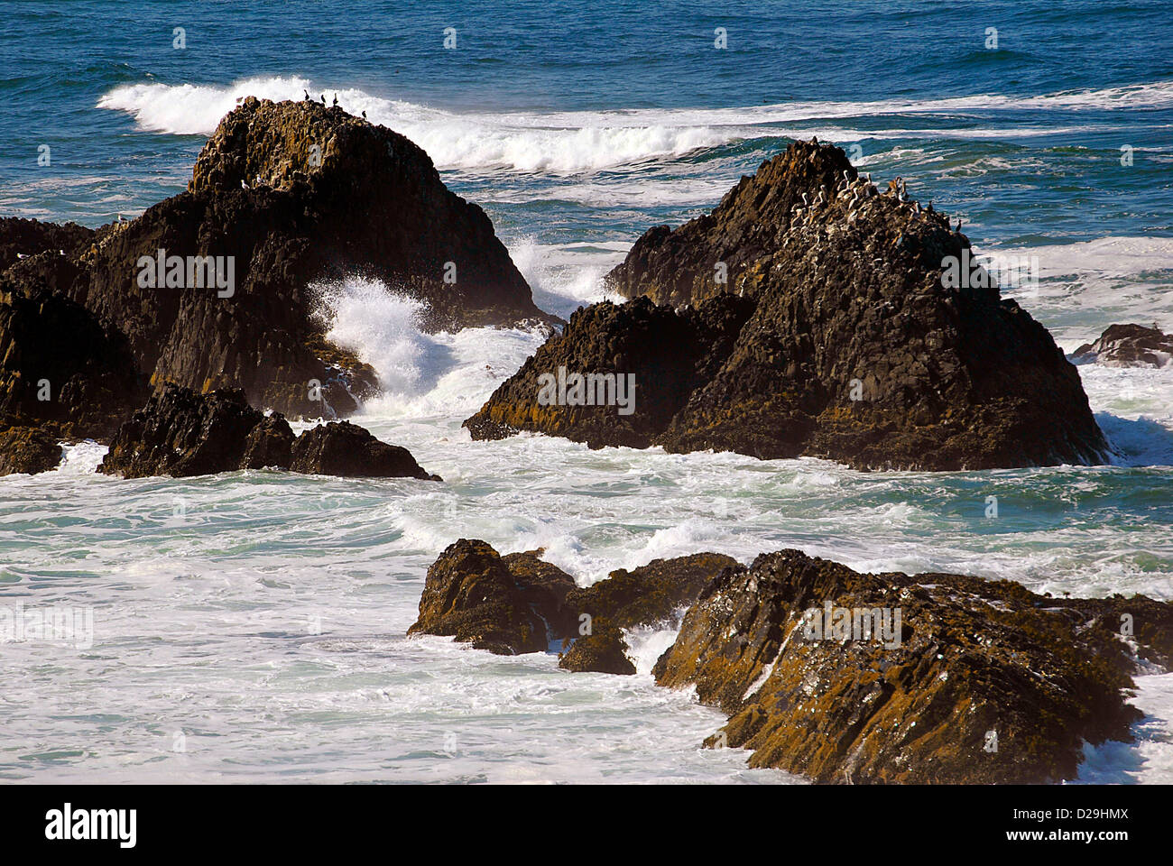 Seal Rocks, Oregon Coast Stock Photo - Alamy