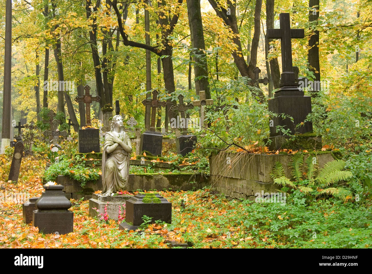 Old cemetery, St.Petersburg, Russia Stock Photo - Alamy
