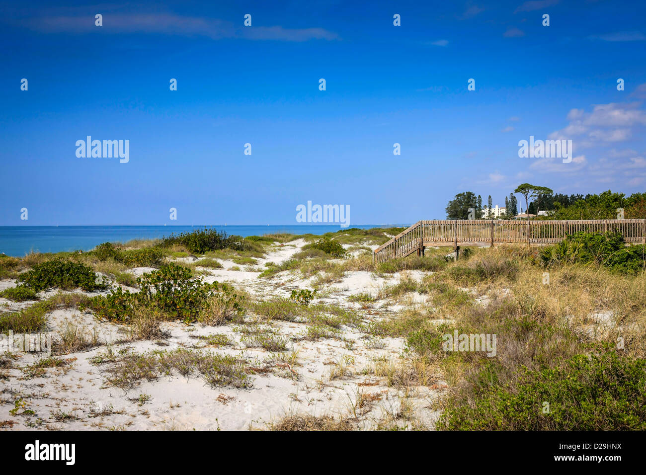 Venice beach family hi-res stock photography and images - Alamy
