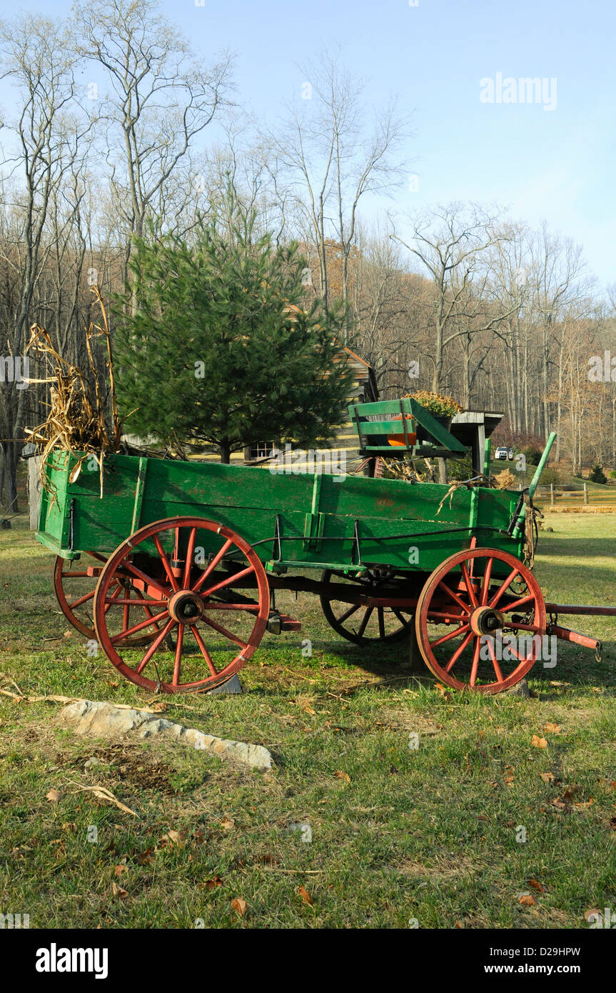 Virginia black hi-res stock photography and images - Alamy