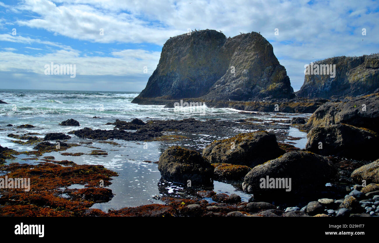 Lava Cliffs, Oregon Coast Stock Photo - Alamy