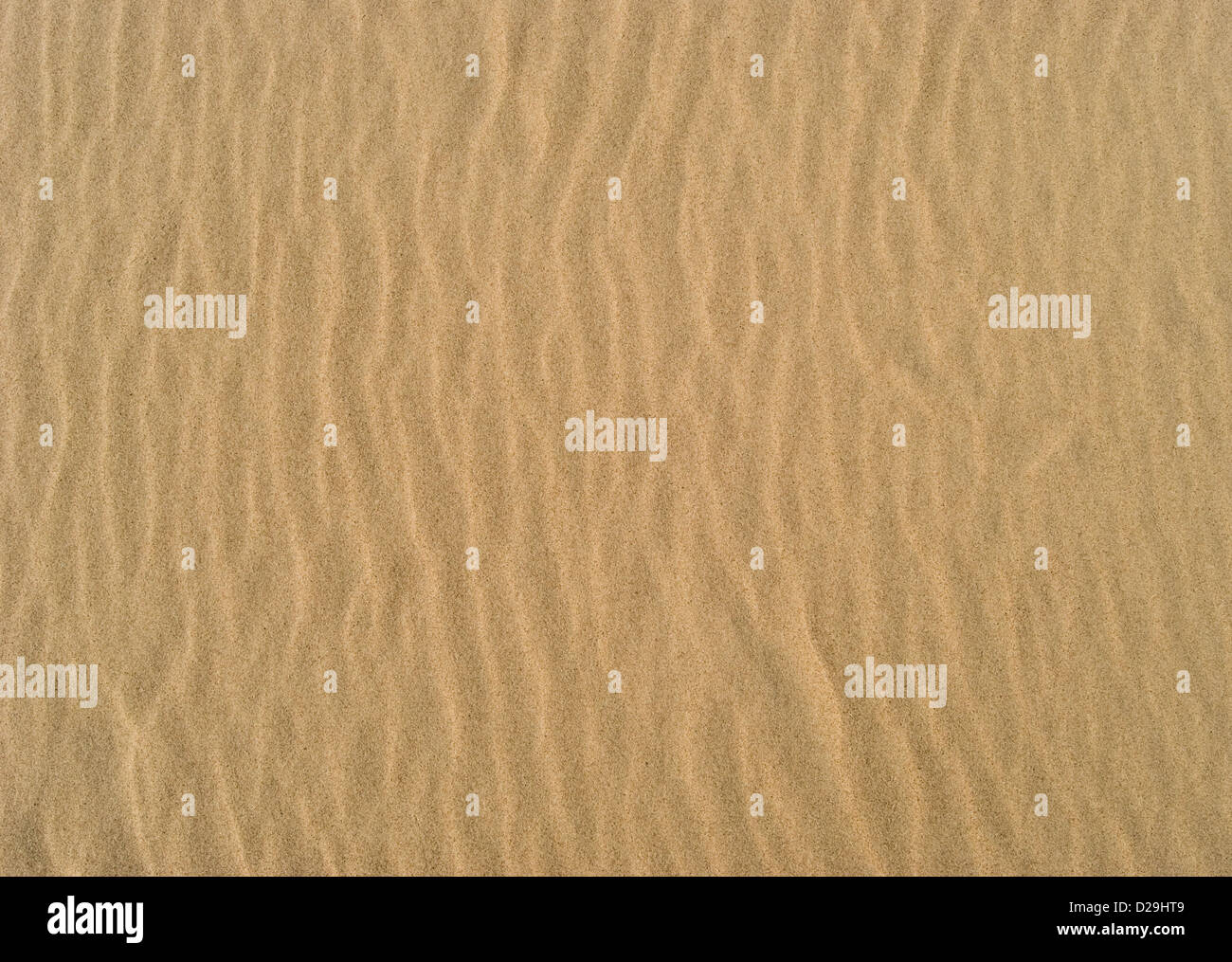 Texture - sandy surface with the ripples formed by wind Stock Photo - Alamy