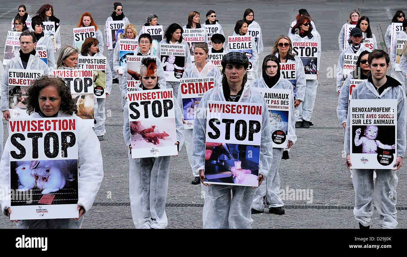 Vivisection hi-res stock photography and images - Alamy