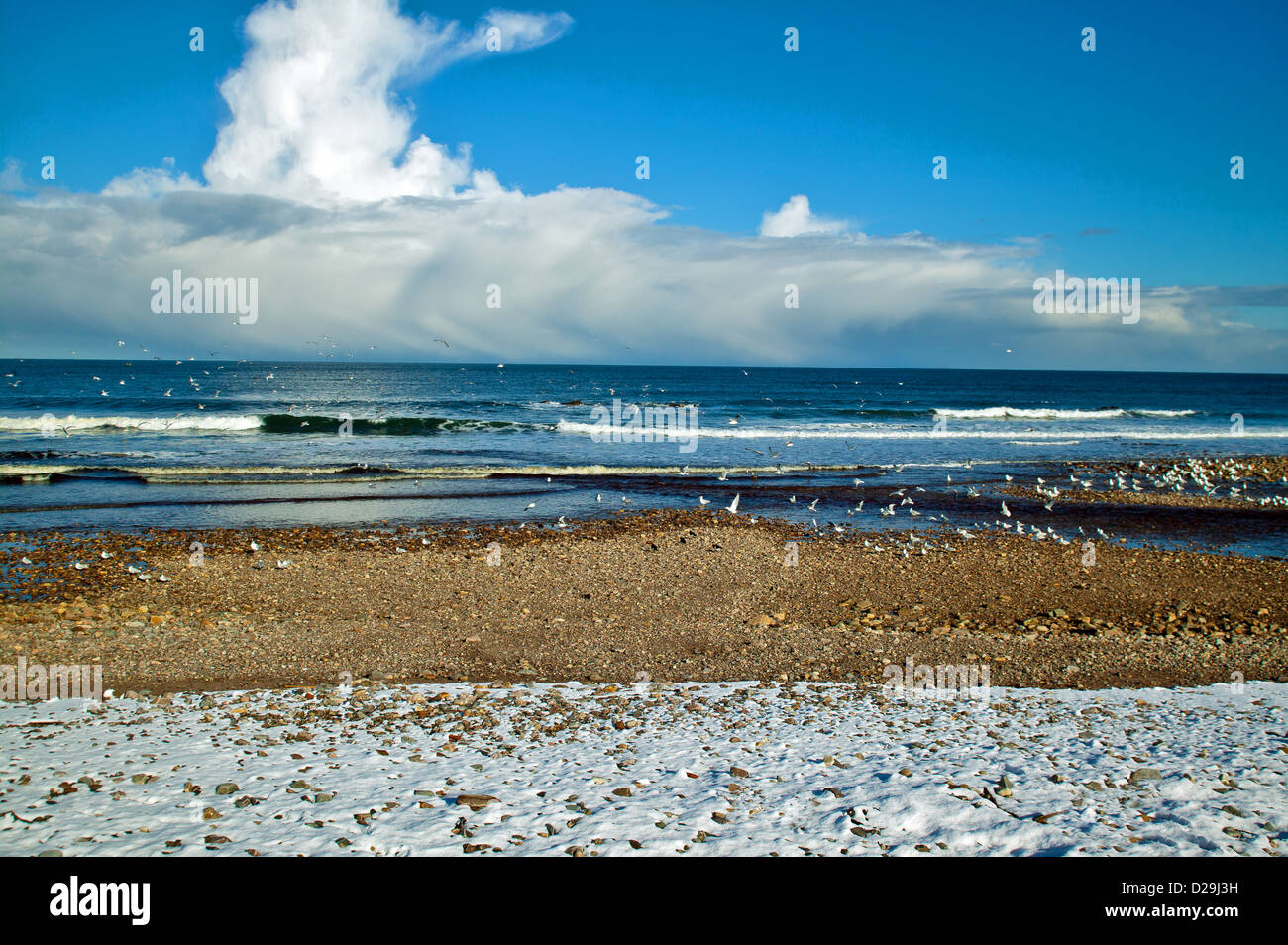 CULLEN BEACH IN WINTER WITH SEAGULLS AND CLOUDS Stock Photo - Alamy