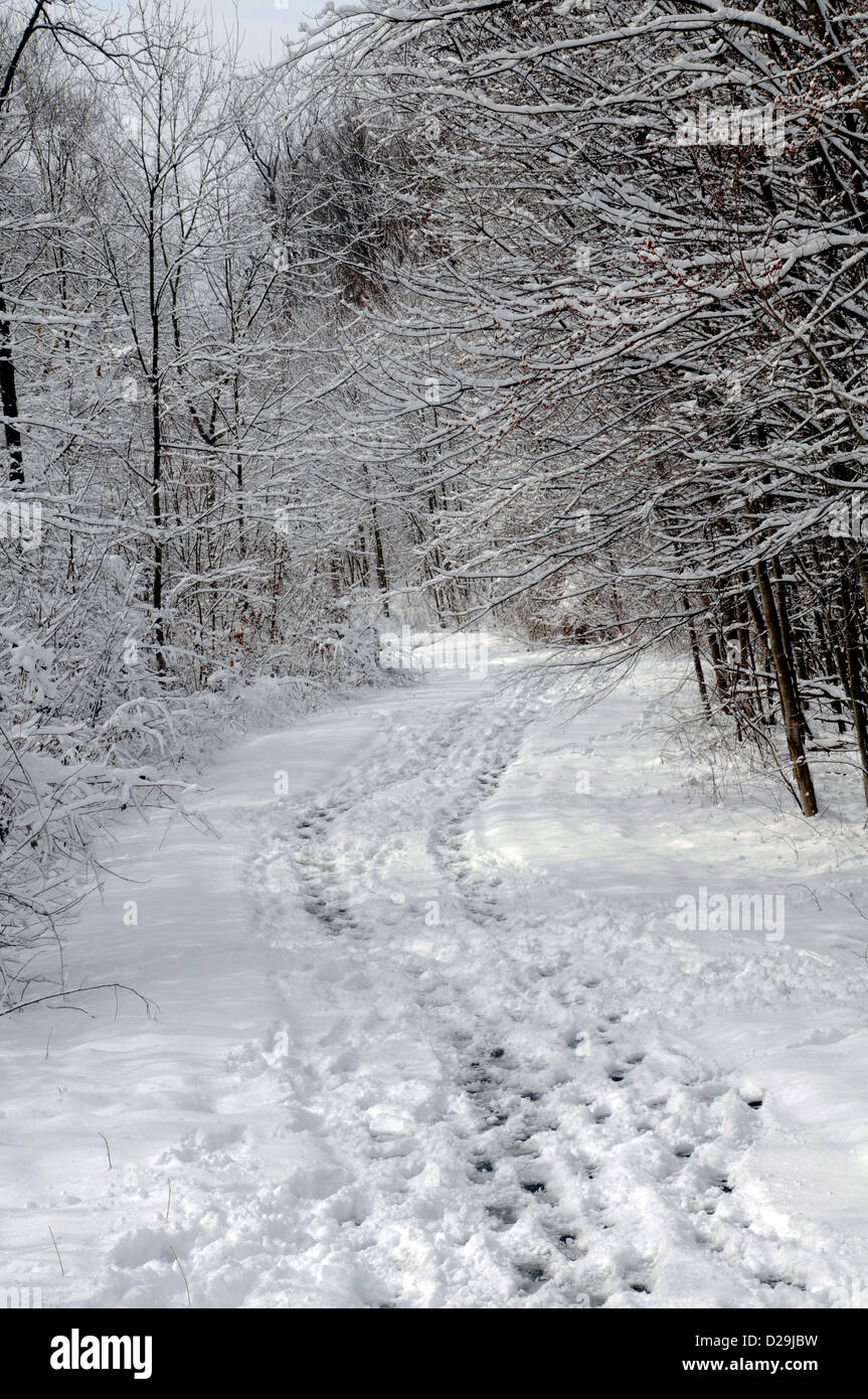 Snowy Path, Virginia Stock Photo - Alamy