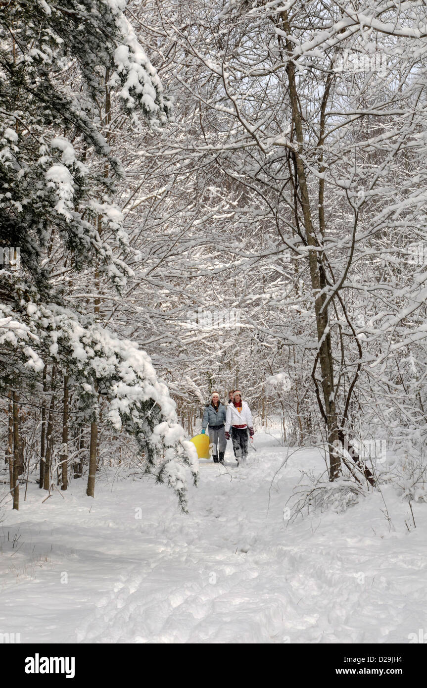 Virginia, Walking On Snow Path Stock Photo - Alamy
