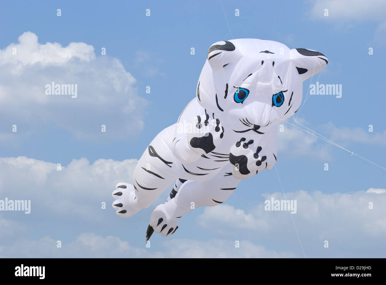 Tiger Kite High Resolution Stock Photography and Images - Alamy