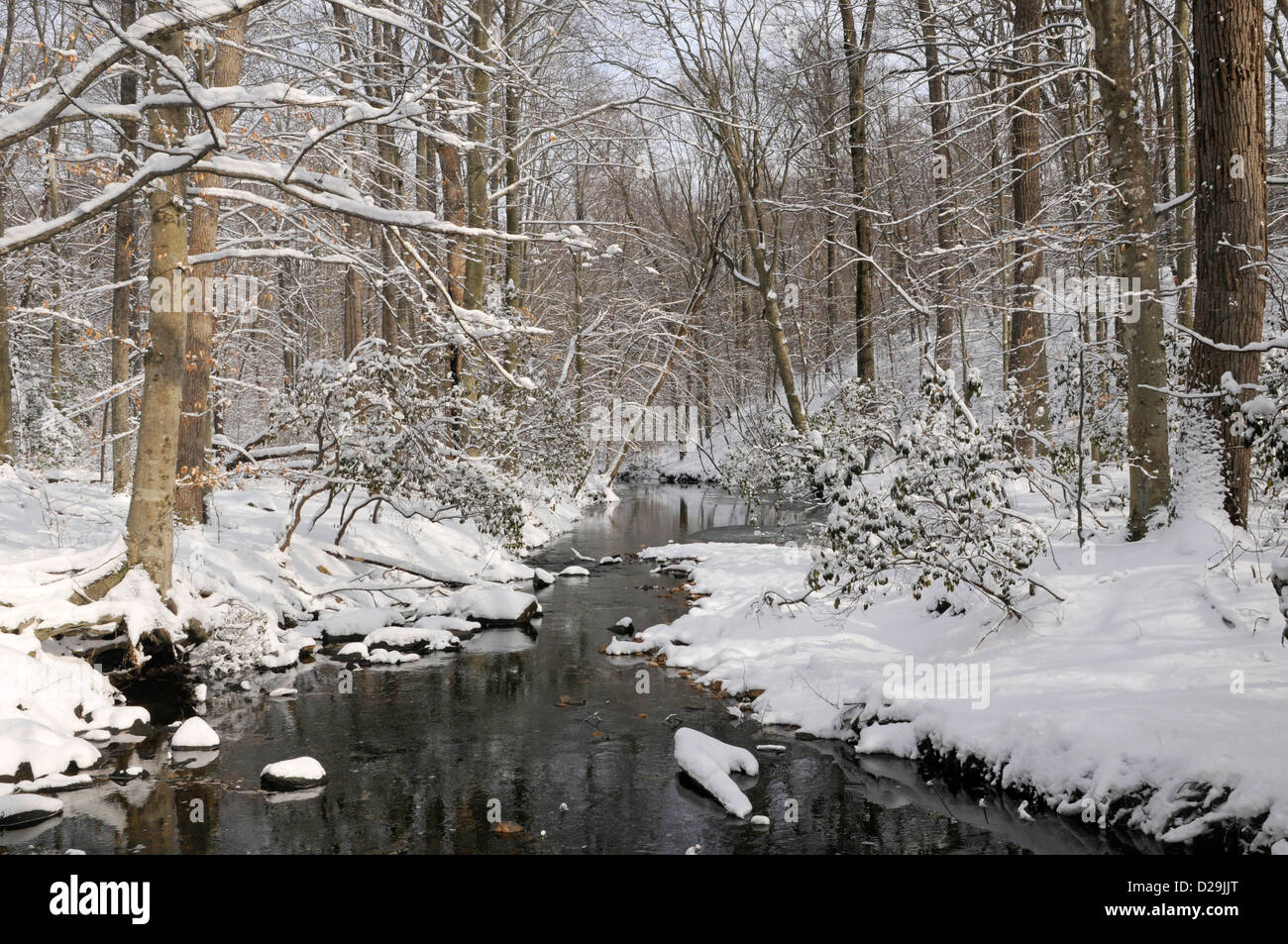 Snowy Stream, Virginia Stock Photo - Alamy