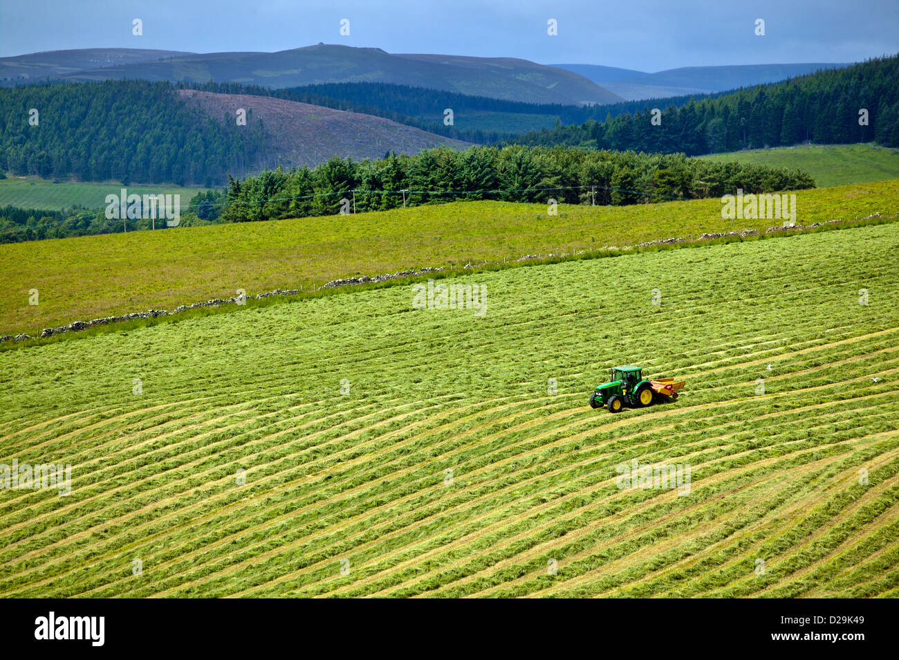 SUMMER HAY MAKING IN THE HILLS OF NORTH EAST SCOTLAND Stock Photo - Alamy