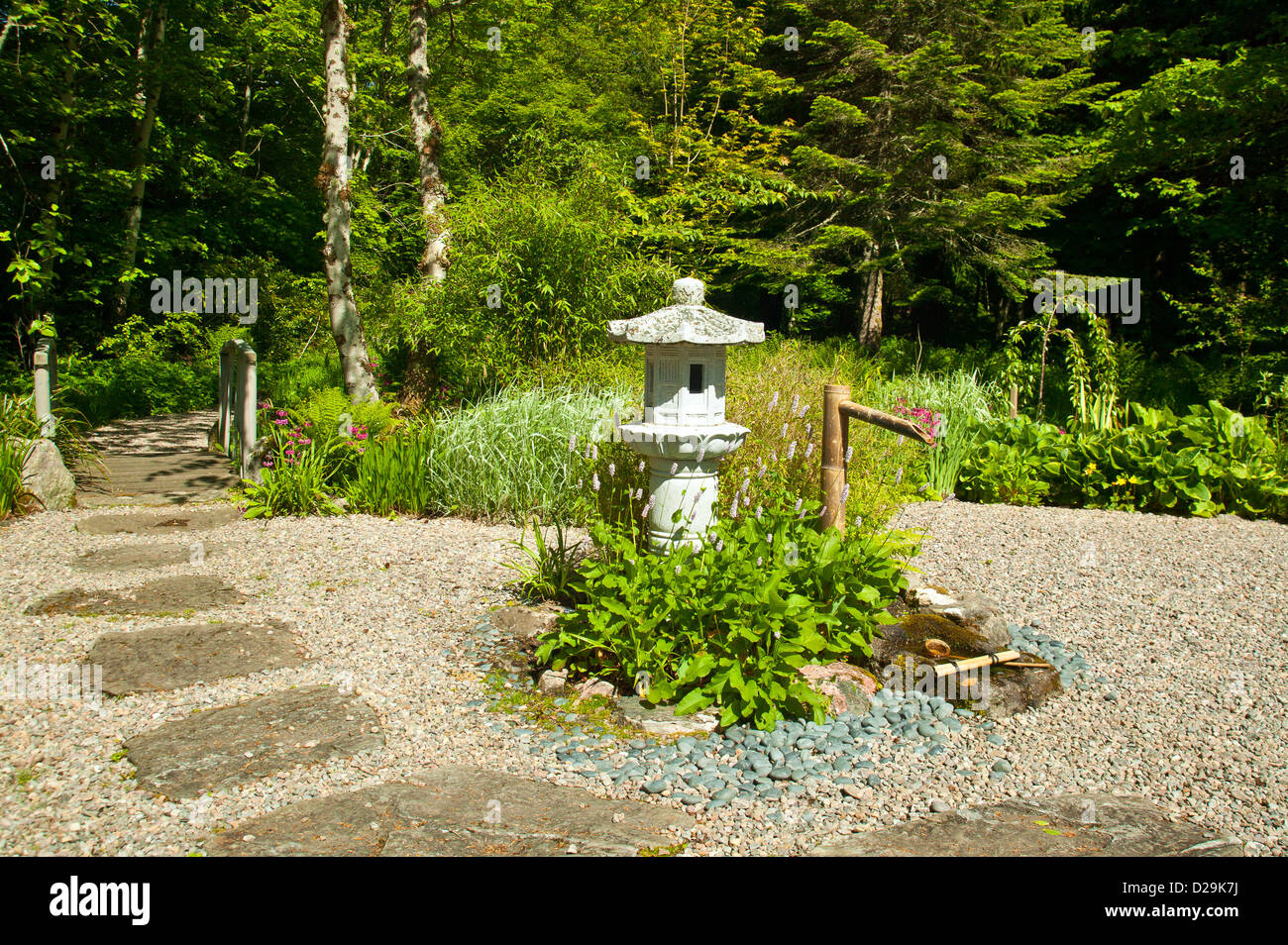 JAPANESE GARDEN AT ATTADALE WEST COAST SCOTLAND WITH LANTERN AND BAMBOO ...