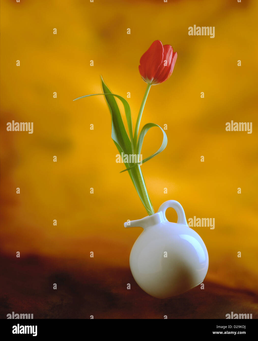 Dancing red flower hi-res stock photography and images - Alamy