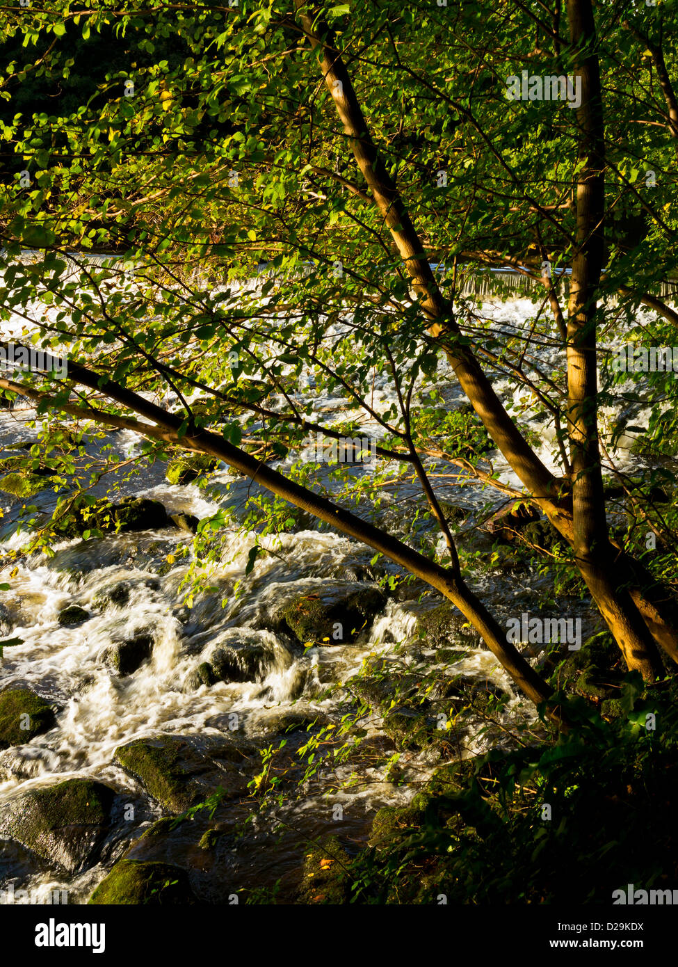 River Derwent flowing through Matlock Bath a village in the Peak ...