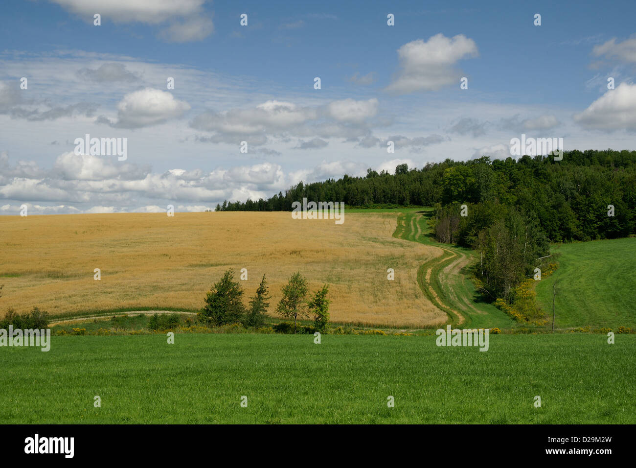 Estrie hi-res stock photography and images - Alamy