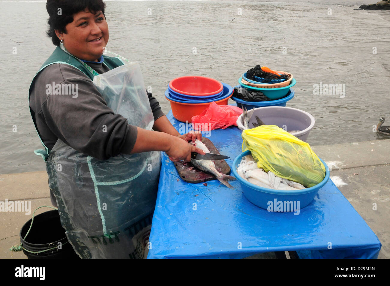 Woman Cleaning Fish, Lima, Peru Stock Photo - Alamy