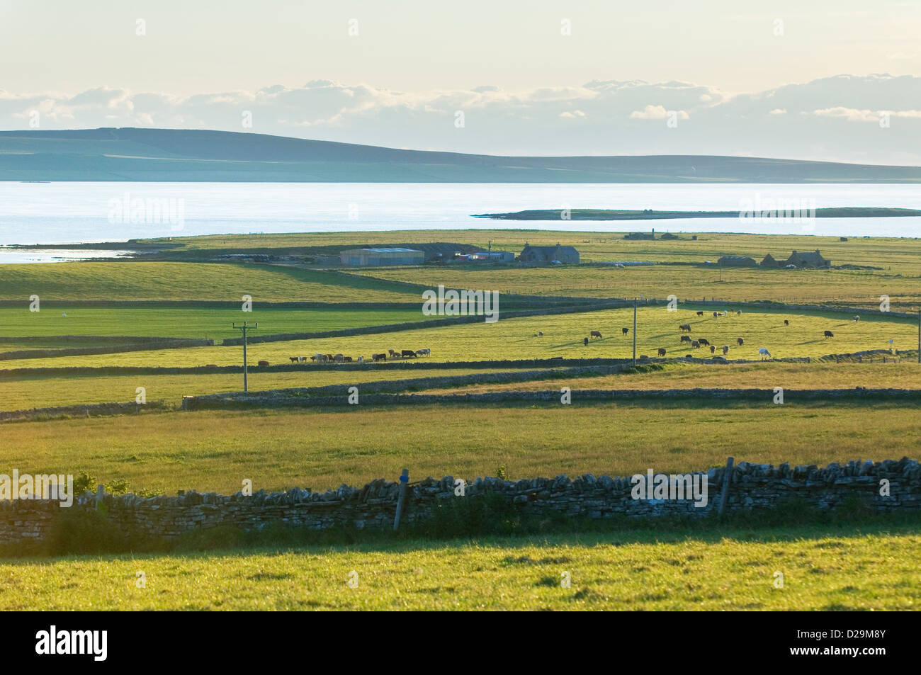 Farmland on the island of Stronsay, Orkney Islands, Scotland Stock ...
