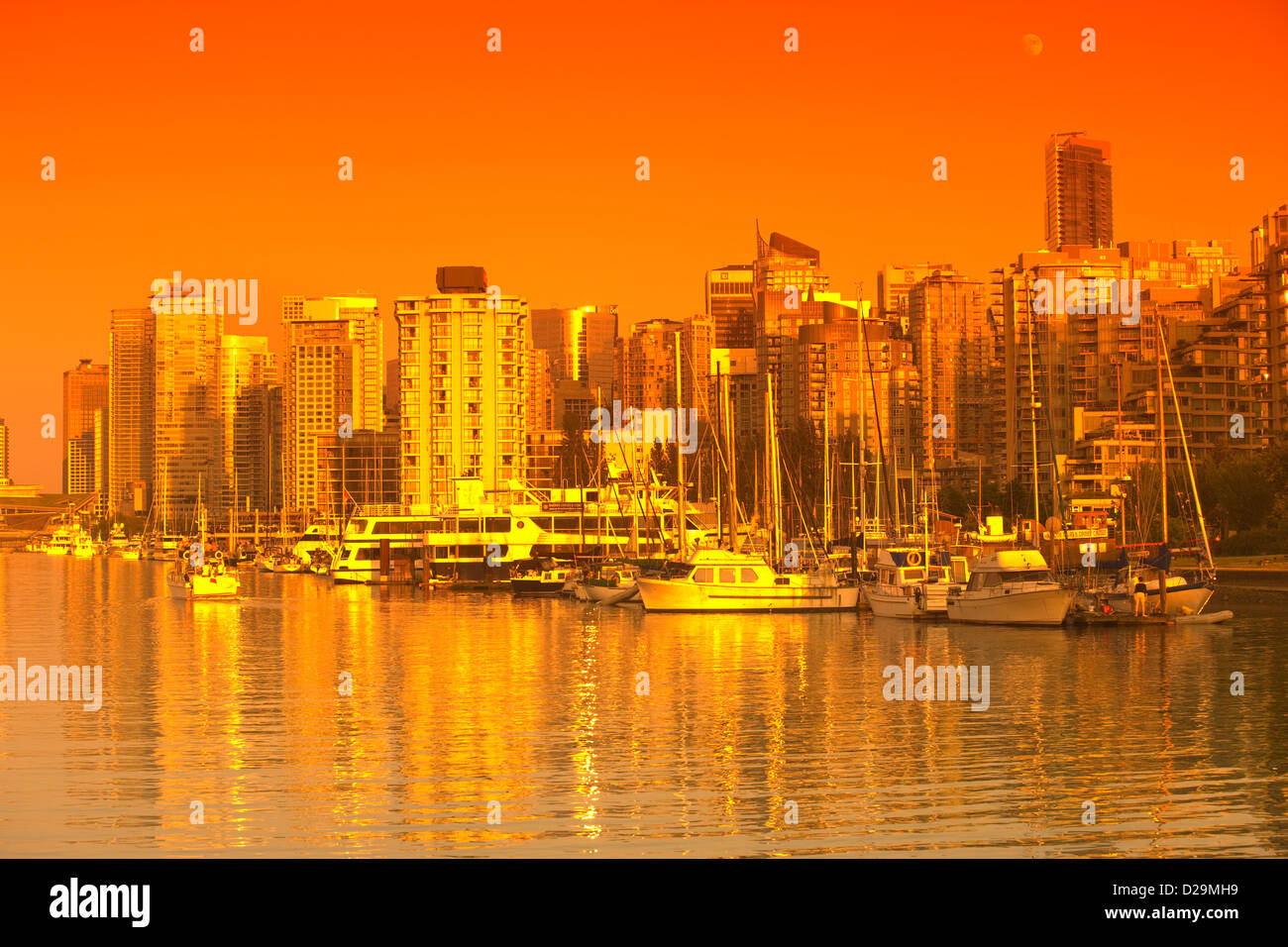 COAL HARBOUR FROM STANLEY PARK DOWNTOWN SKYLINE VANCOUVER BRITISH ...