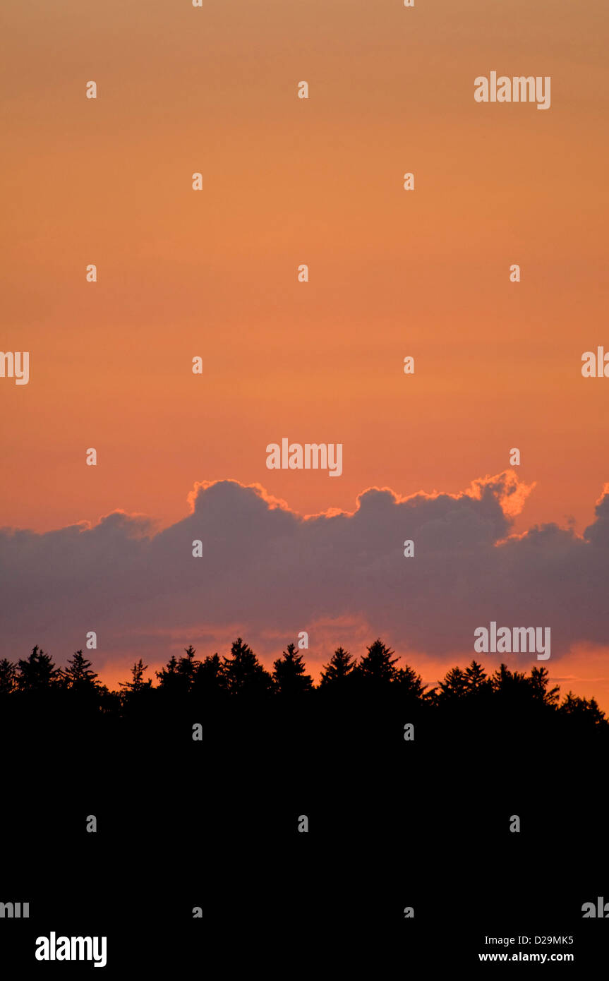 Sunset in the park Stock Photo - Alamy