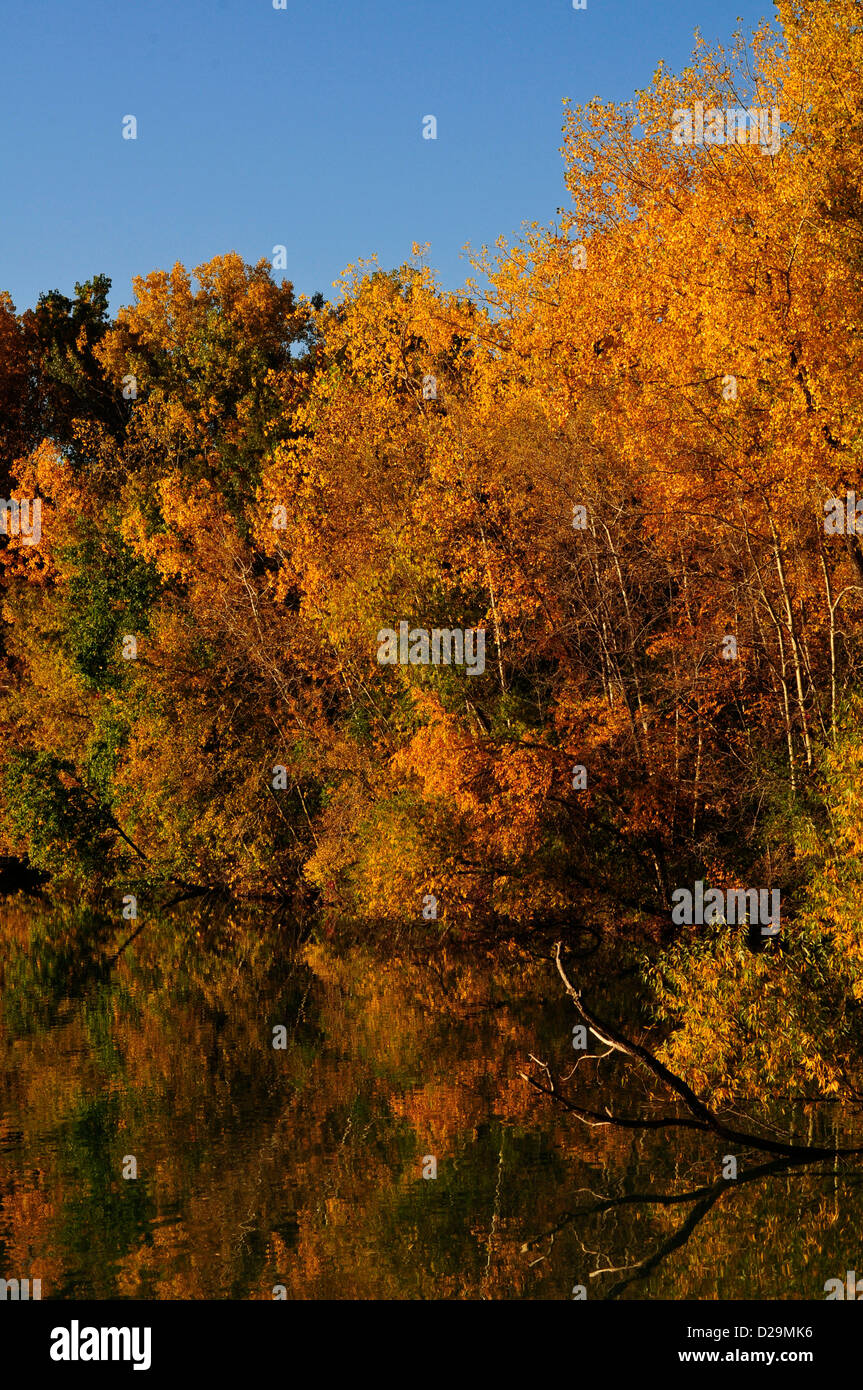 Reflections of fall Stock Photo - Alamy