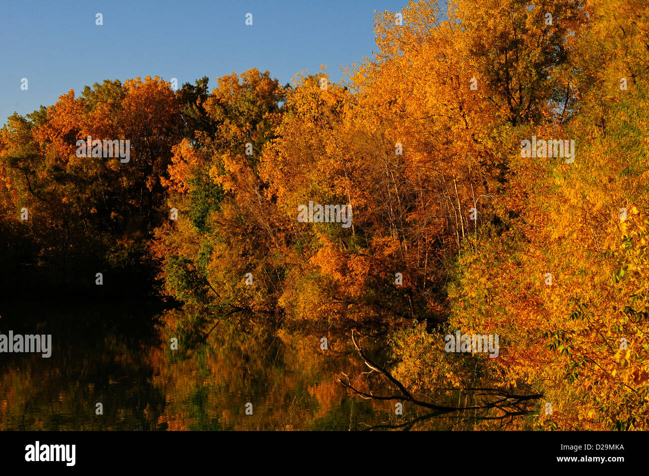 Reflections of fall Stock Photo - Alamy