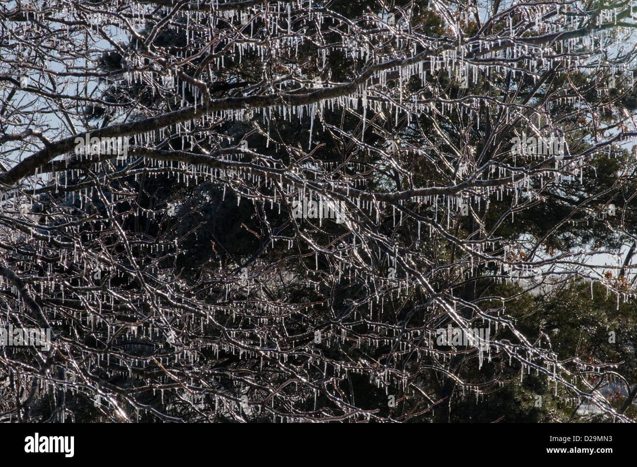 Winter ice storm Stock Photo - Alamy