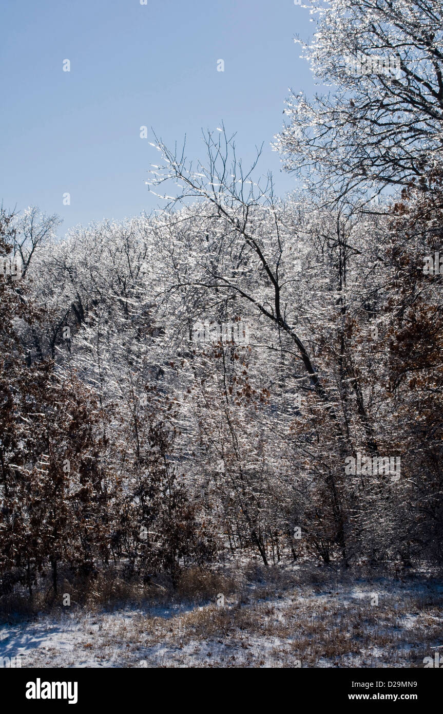 Winter ice storm Stock Photo - Alamy