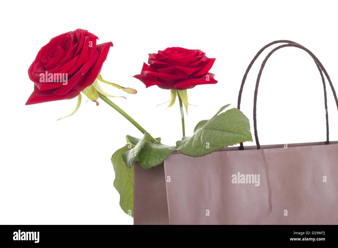 Roses in a bag Stock Photo - Alamy