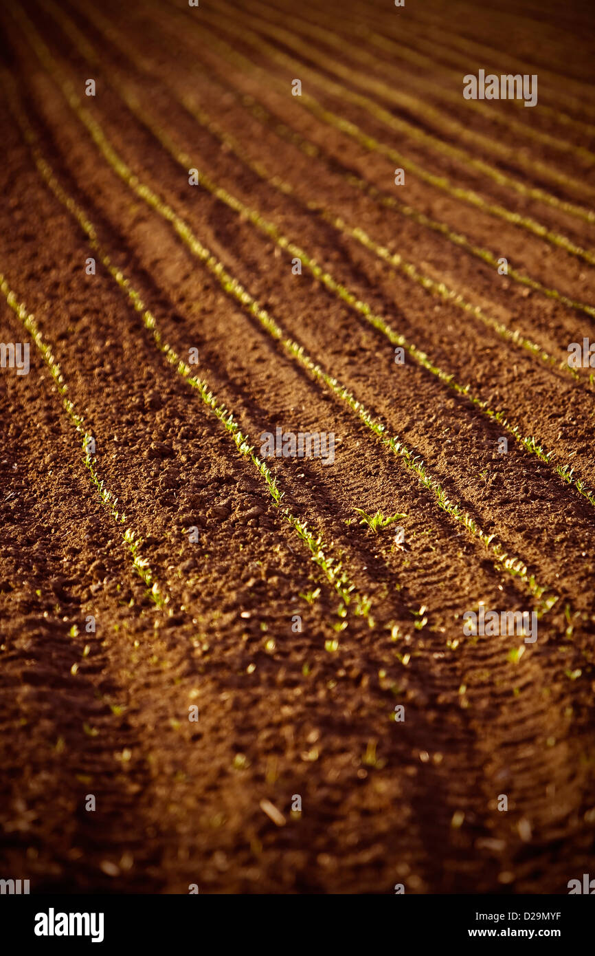 Plough soil texture hi-res stock photography and images - Alamy