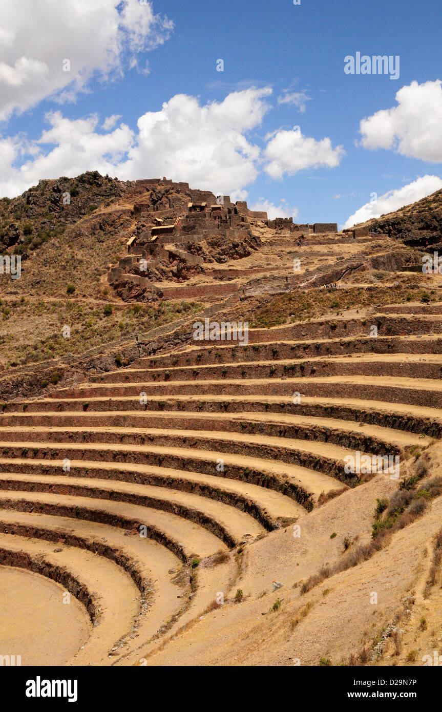 Inca Ruins And Terraces, Pisac, Peru Stock Photo - Alamy