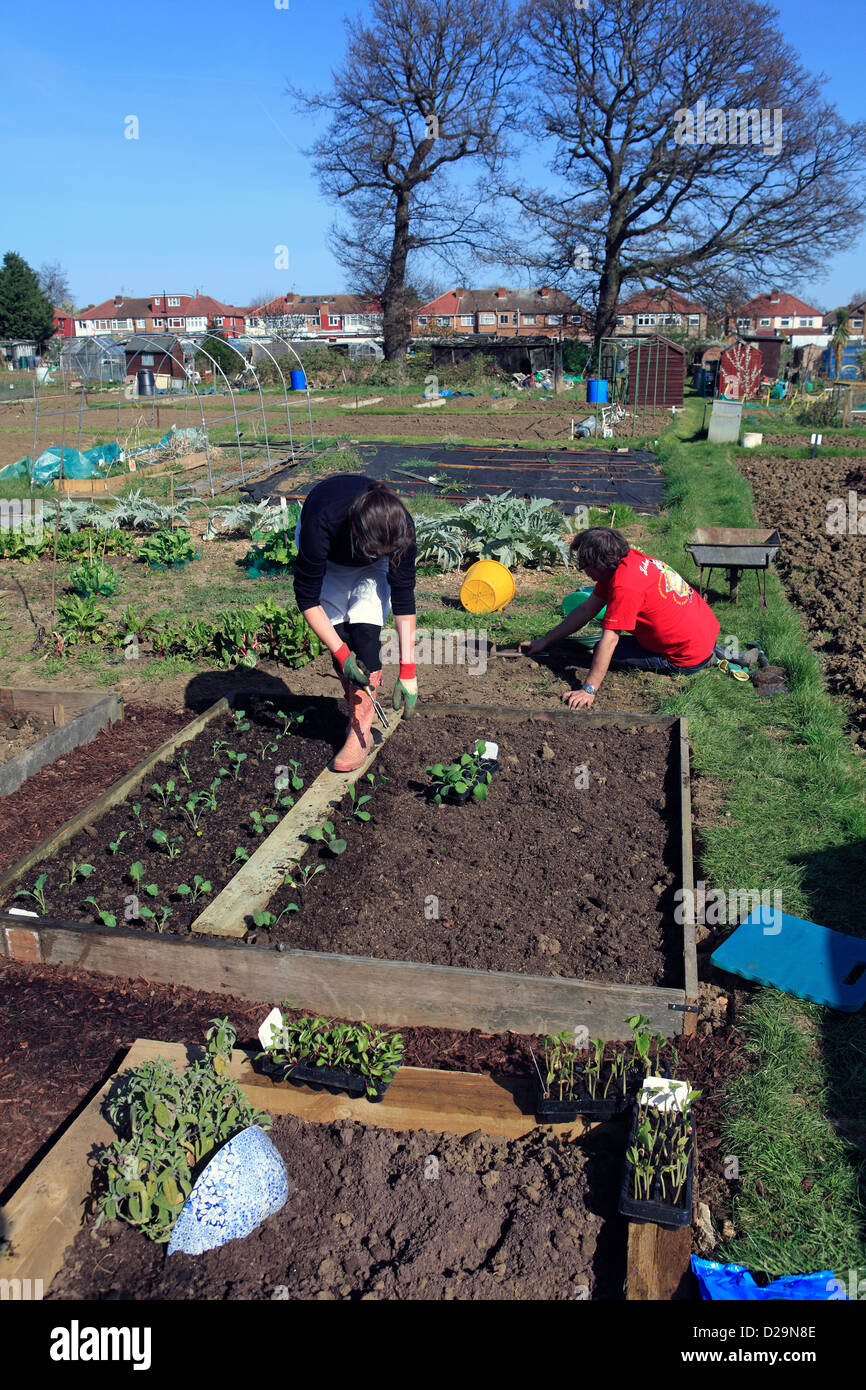 Allotment uk london hi-res stock photography and images - Alamy