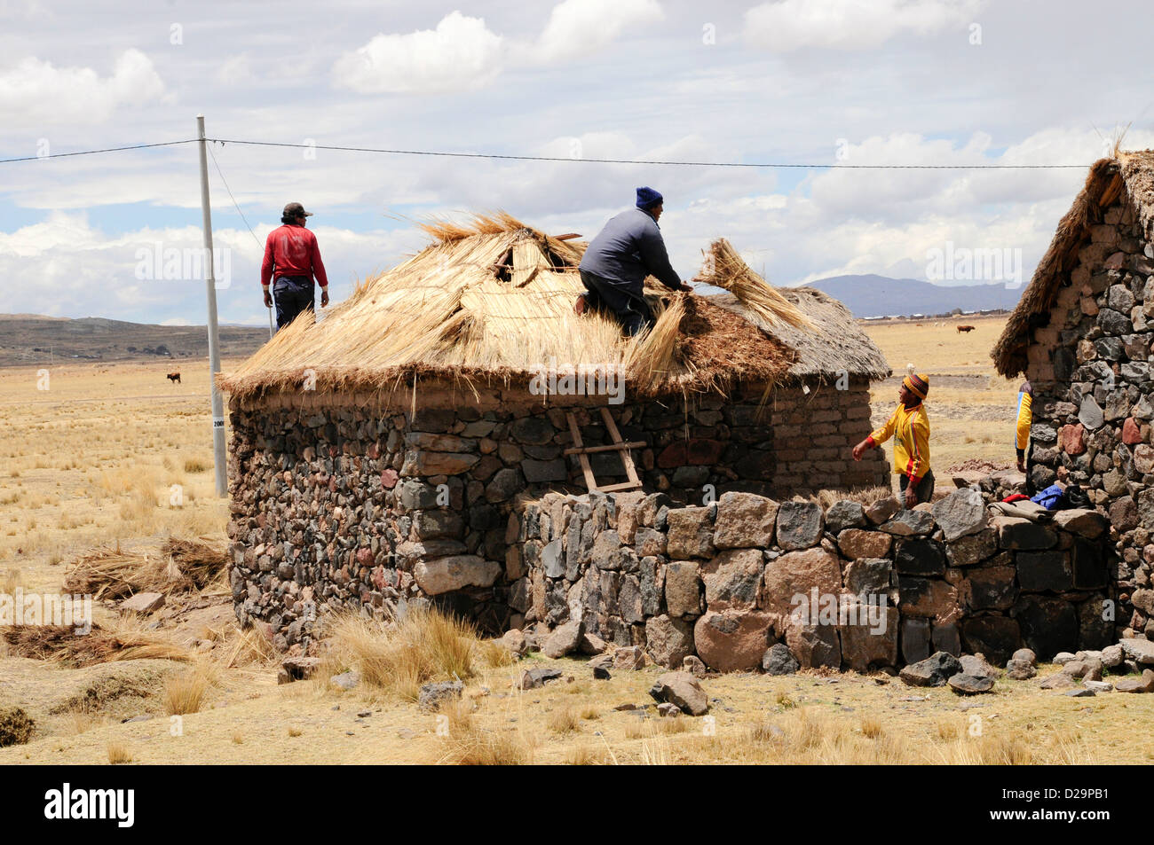 Thatching A Farmhouse Roof, Peru Stock Photo - Alamy